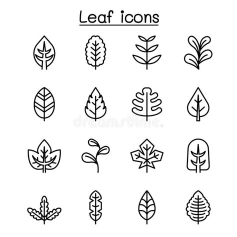 Leaf Icon Set In Thin Line Style Stock Vector Illustration Of Element