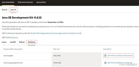 java jdk11的下载与安装 漫思 博客园