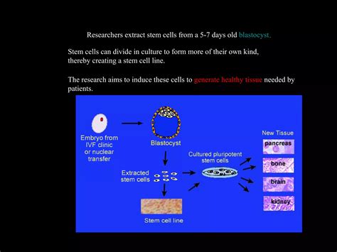 Stem Cells Background Ppt