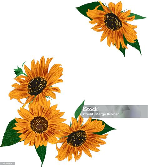 해바라기와 나뭇잎의 프레임입니다 꽃과 밝고 다채로운 예술적 테두리 손으로 그림을 그리는 꽃 그림 다양한 소셜 미디어 디자인을