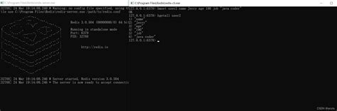 Redis中对hash 哈希的操作redisson操作hash Csdn博客