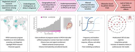 Gaps Obstacles And Ethics In Peripartum Cardiomyopathy Research