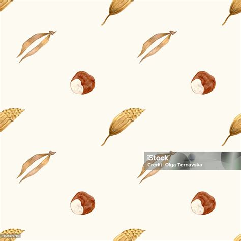 식물과 밤나무가있는 가을 수채화 패턴 포장 잡지 및 섬유를위한 디자인 10월에 대한 스톡 벡터 아트 및 기타 이미지 10월 9월 가을 Istock