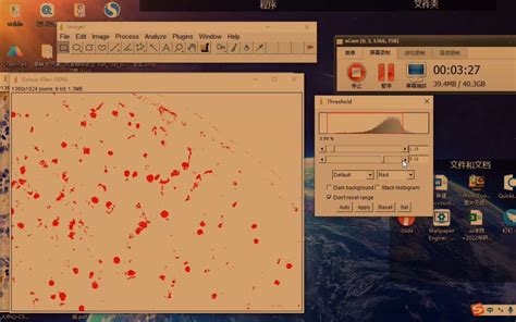 如何用image J 分析masson染色和免疫组化阳性面积