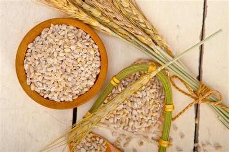 Premium Photo Organic Wheat Grains