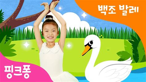 백조 발레 핑크퐁 체조 핑크퐁 인기동요 YouTube