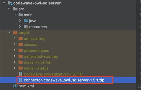 数据库插件开发指南 Codewave架构师课程
