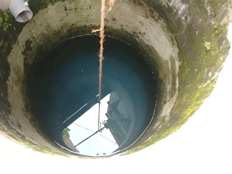 Algae In Well Water Causes Solutions Well Water Lab