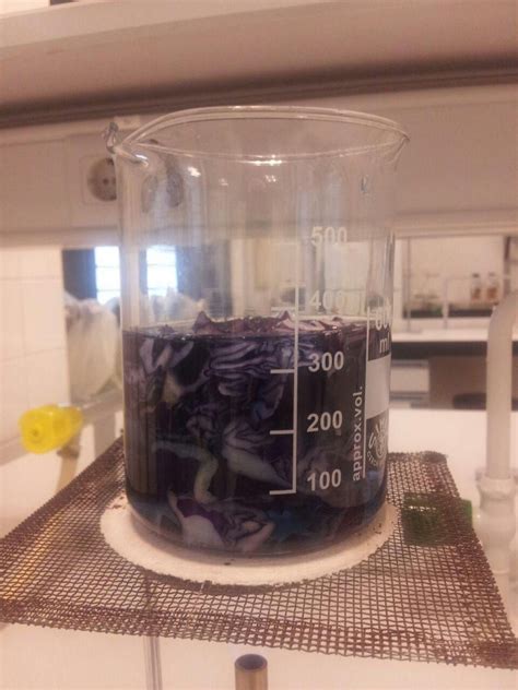 Red Cabbage Litmus Test