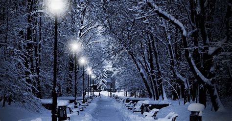 Шпалери для робочого столу Вечір в зимовому парку на