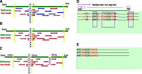 The Workflow For Data Matrix Construction Ae The Workflow For Download Scientific Diagram