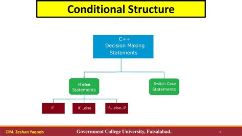 Solution Msc Physics Conditional Structures And Their Execution In C