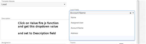 how to call js function on record view of custom field dev answers