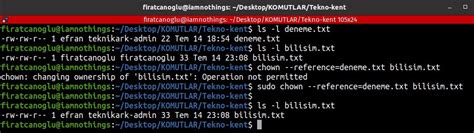 Örneklerle Linuxta Chown Komutu Nasıl Kullanılır Linux Data Linux Sysadmin