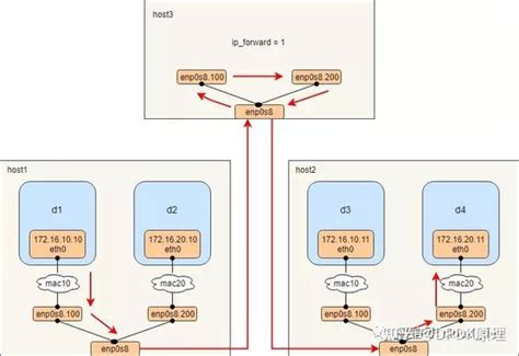 Docker 网络模型之 Macvlan 详解，图解，实验完整 知乎