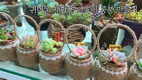 재활용 다육화분 만들기 귀여운 다육바구니 만들었어요 콩분으로 딱이에요 Succulent Plant Succulent
