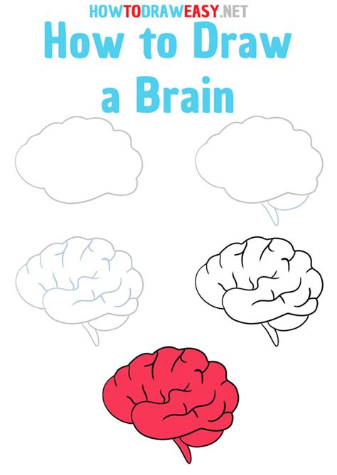 How To Draw A Brain Easy How To Draw Easy Vrogue Co
