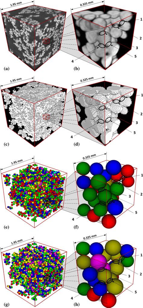 Example Of Reconstructed 3d Specimens A B Original Image C D Binary Download Scientific