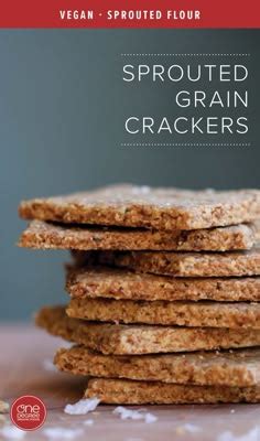 11 Cracker Recipe Ideas Whole Wheat Crackers Cracker Recipes Crackers