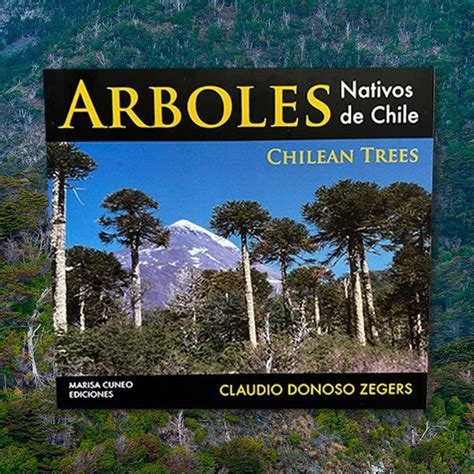 Árboles Nativos De Chile Bosquechileno