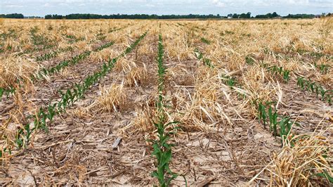 How Our Food Choices Impact Global Sustainability Fast Company