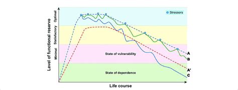 Schematic Representation Of Life Course Trajectories Of Functional