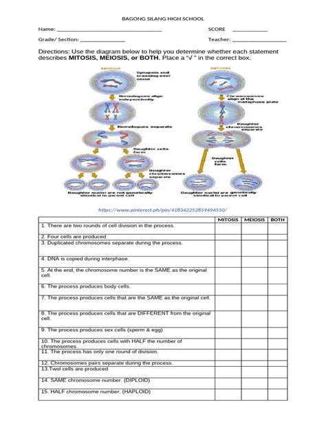 Comparing Mitosis Meiosis Worksheet Pdf