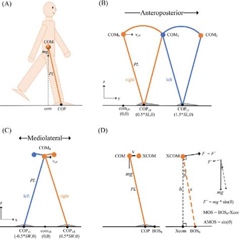 A Schematic Diagram Of The Inverted Pendulum Model Pl Is The