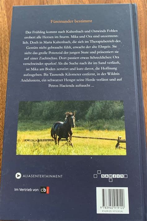 Ostwind Buch Kaufen Auf Ricardo