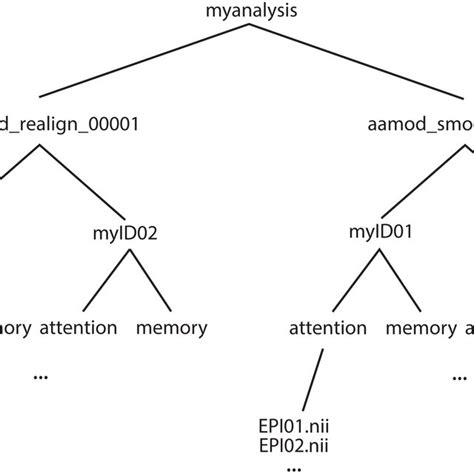 Example File Structure For Aa Output Each Analysis Comprises Output