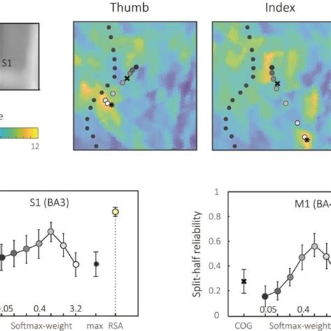 Comparison Of Different Methods To Characterise The Spatial Layout Of
