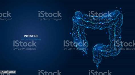 인간 장의 미래 추상 상징입니다 위장 통증과 암 치료의 개념 낮은 폴리 기하학적 3d 벽지 배경 벡터 그림입니다 3차원 형태에 대한 스톡 벡터 아트 및 기타 이미지 Istock