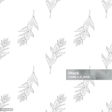 완벽 한 패턴입니다 꽃 잉크 스케치와 함께 꽃 식물 명함 배너 포스터 노트북 초대장 색상 책 템플릿 0명에 대한 스톡 벡터 아트 및 기타 이미지 Istock