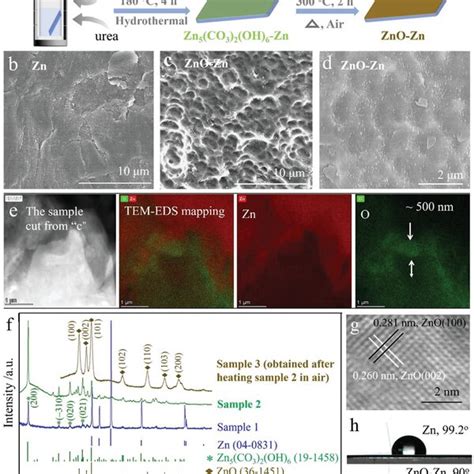 A The Schematic Fabrication Process Of The Zno‐zn Sample Sem Images