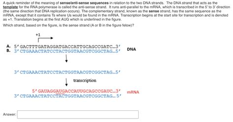 Solved A Quick Reminder Of The Meaning Of Senseanti Sense