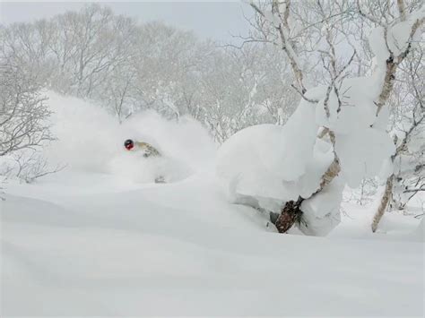 Deepest Snow In Japan Passes 7 Metres 23 Feet