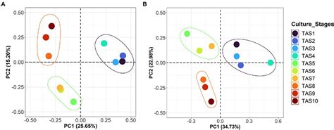Bacterioplankton Communities And Their Temporal Dynamics In A Biofloc