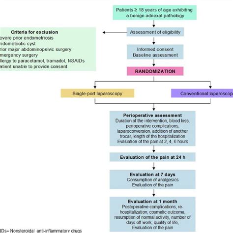 Flow Chart Of The Trial Download Scientific Diagram