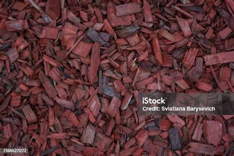 붉은 나무 뿌리 덮개 층이 고르게 퍼져 다양한 모양과 크기의 나무 조각의 질감을 특징으로합니다 0명에 대한 스톡 사진 및 기타 이미지 Istock