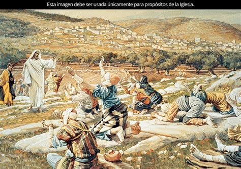 Blog Católico De Javier Olivares Jubilado Comentario Dijo JesÚs De