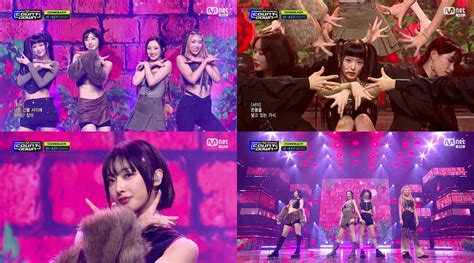 엠카 하이키 건물 사이에 피어난 장미 로 화려한 컴백 전자신문