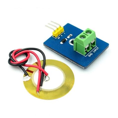 PIEZOELECTRIC CERAMIC VIBRATION MODULE IFuture Technology