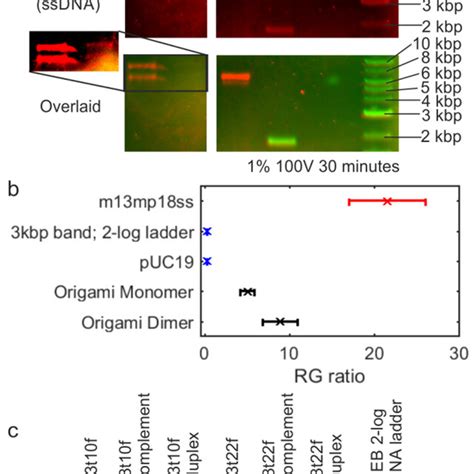 Acridine Orange Interaction With Dna Origami Imaged Via Gel