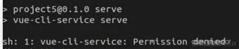 VueLinux 运行 npm run serve 报错 vue cli service Permission denied CSDN博客 掘金