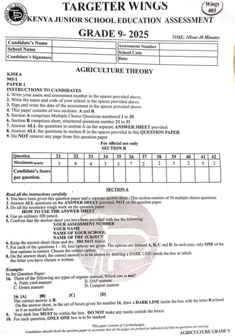 Targeter Wings 003 Grade 9 2025 Junior Secondary Babe Assessment