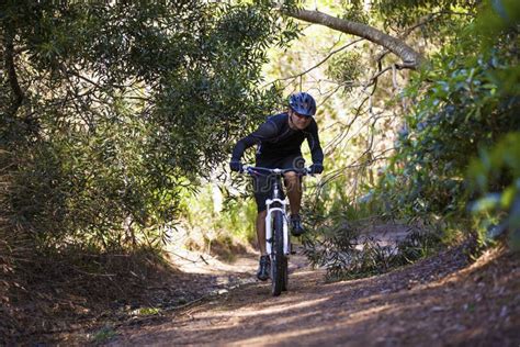 Mountain Biker Riding On His Btt Bike Stock Image Image Of Adventure