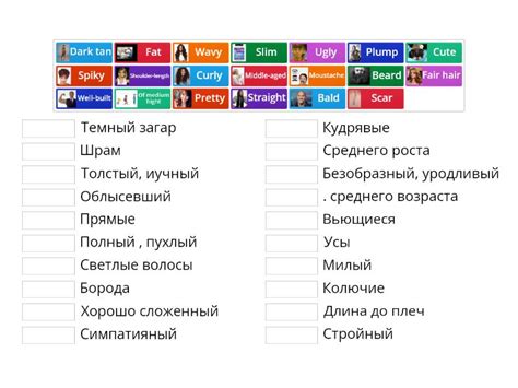 spotlight 7 module 3b - Сопоставить