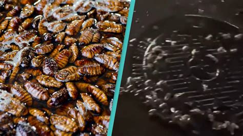 2022 South Korean Floods Video Shows Tidal Wave Of Cockroaches