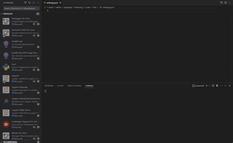 Help Integrated Terminal Not Displaying Anything Rvscode