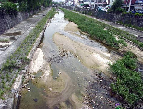 20030811 서울 안암천 ⓒ정보센터 박종학 서울 동대문 밖 신설동 쪽 안암천의 모습 Kfem Photo Flickr